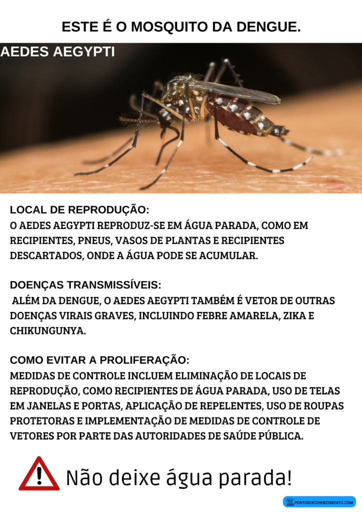 Mosquito Da Dengue Ponto Do Conhecimento