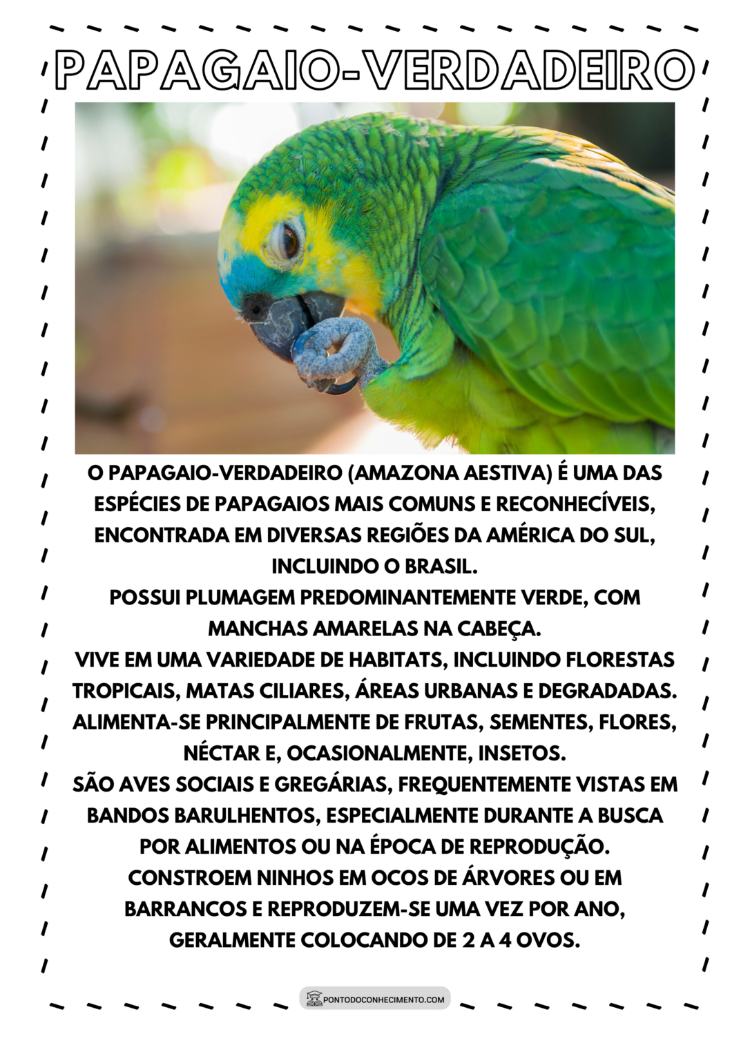Animais da fauna brasileira - Ponto do Conhecimento