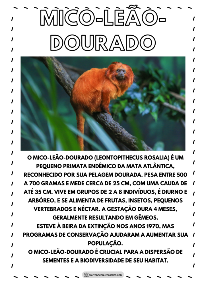 Animais da fauna brasileira - Ponto do Conhecimento