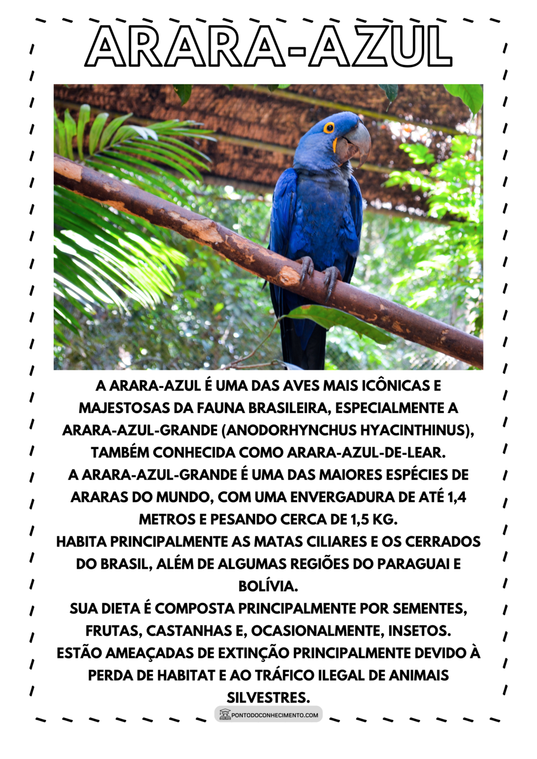 Animais da fauna brasileira - Ponto do Conhecimento